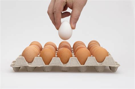 흰 배경에 고립 된 갈색 계란으로 가득 찬 판지 상자에 흰 닭 고기 알을 들고 있는 남성 손 가금류에 대한 스톡 사진 및 기타