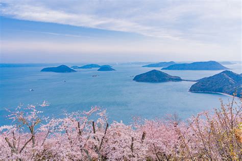 香川の花見スポット15選！公園・観光地・自然など香川でたくさん遊んだ筆者が紹介｜アニーお祝い体験マガジン