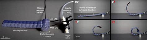 Rice Labs Foam Based Fluidic Circuits For Next Gen Wearables And Robotics