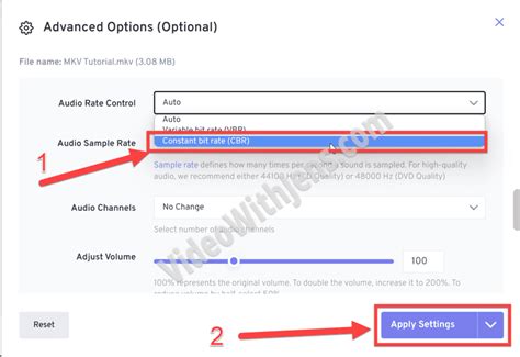 Import Mkv Davinci Resolve Fix Issues Errors Audio