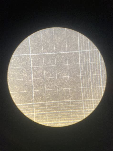 Sf9 Cell Culture Researchgate