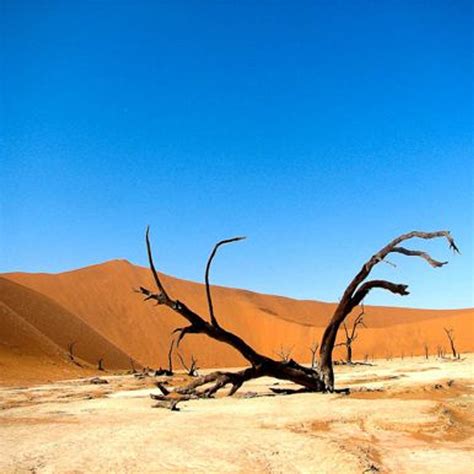 Accommodated Adventures In Namibia And Zambezi