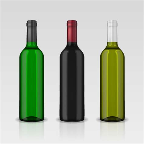 Beer Bottles Row Set Royalty Free Vector Image