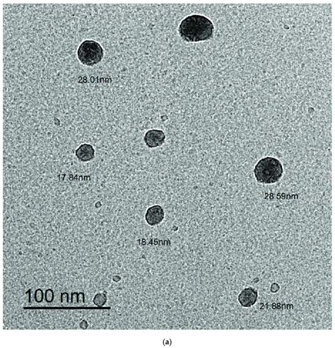 Scanning Electron Microscopic Sem Image Of Biosynthesis Download Scientific Diagram