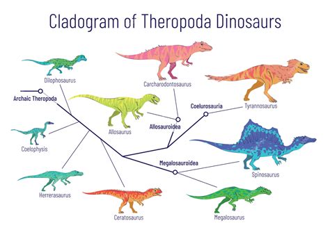 Cladogram