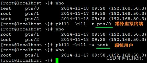 Linux系统下强制用户下线——who，pkillpkill Kill T Csdn博客