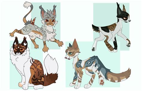 Warriors Adopts 75 Collab Cheap Points By Munchymagpie On Deviantart