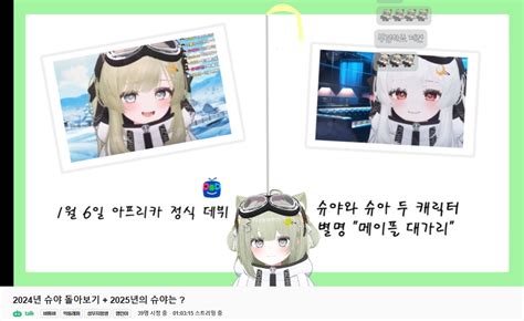 2024년 돌아보기 Ppt 컨텐츠 하는 버튜버 치지직 에펨코리아