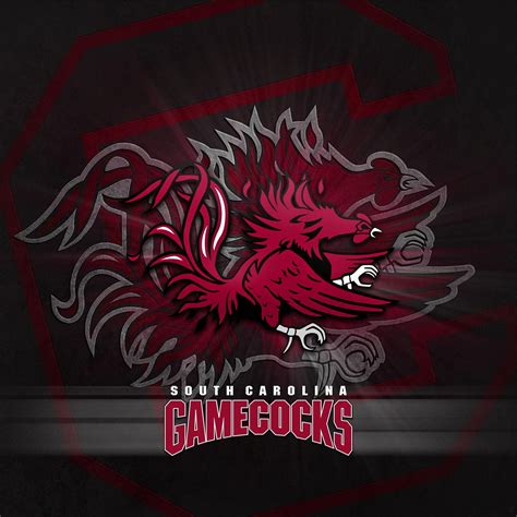 Gamecocks Wallpapers Wallpaper Cave
