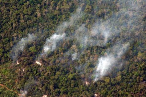 Un Incendio Forestal Afecta A 238 Hectáreas De Bosques En La Zona Oeste