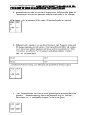 Sex Linked Practice Problems Punnett Squares Offspring Ratios Course Hero