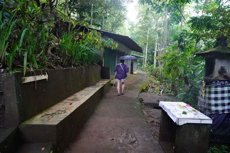 Gitgit Waterfall Largest Of Many Falls On Gitgit Stream