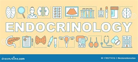 Endocrinology Word Concepts Banner Stock Vector Illustration Of