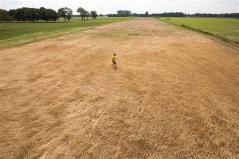 Met 200 Miljoen Euro Moet Het Grondwaterpeil In Oost Nederland De