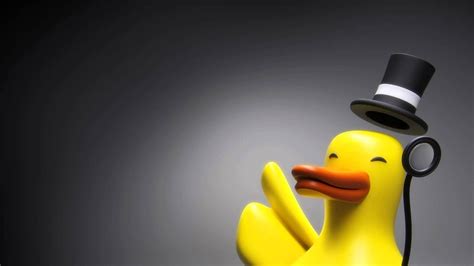 Duck Top Hat Hd Wallpapers Desktop And Mobile Images And Photos