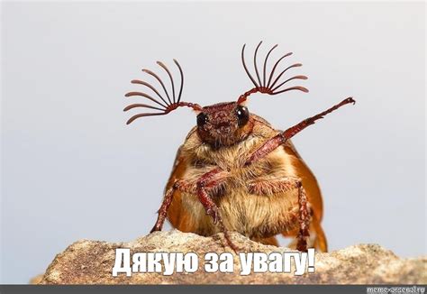 Meme Дякую за увагу All Templates Meme