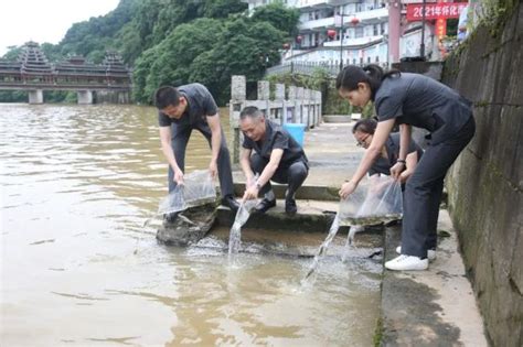 世界环境日 通道法院：增殖放流千尾鱼苗澎湃号·政务澎湃新闻 The Paper