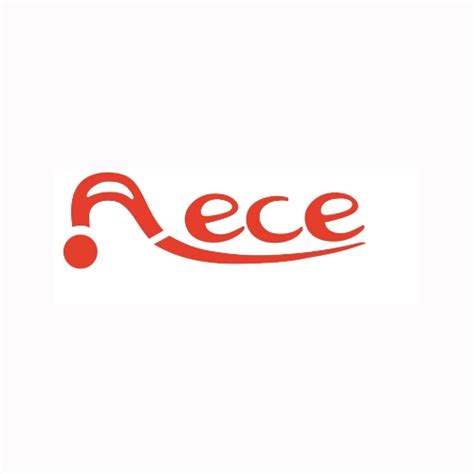 Lo Mejor De Las Ponencias De La Iii ConvenciÓn De Aece Movicarga