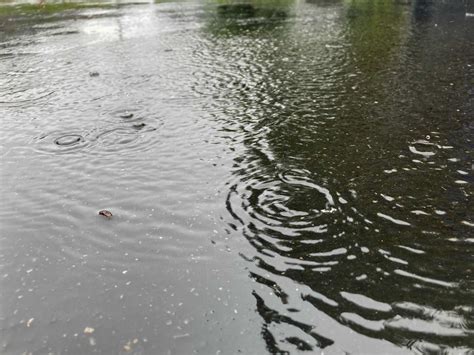 Multiple Metro Detroit Freeways Closed Due To Flooding List Detroit