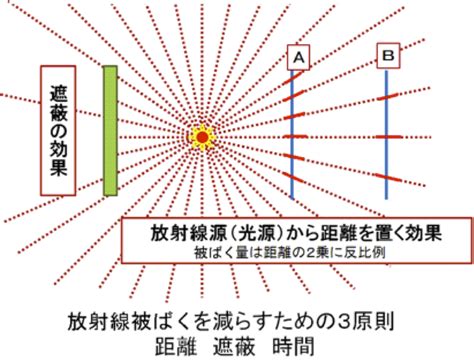 放射線と放射性物質（その4） 被ばくを防ぐ Npo法人 国際環境経済研究所｜international Environment And