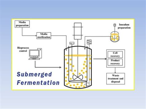 Citric Acid Production Ppt