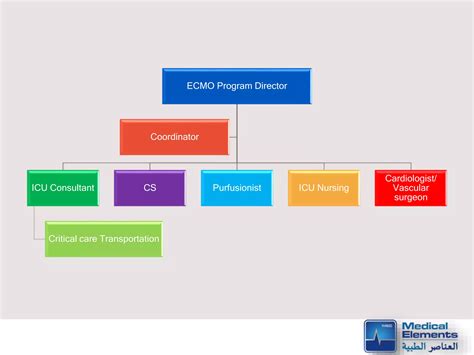 Ecmo Service Implementation Ppt