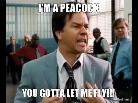 Im A Peacock Captain You Gotta Let Me Fly Youtube