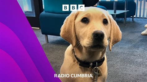 Bbc Radio Cumbria Mike Zeller Shes Becoming Quite A Local Celebrity
