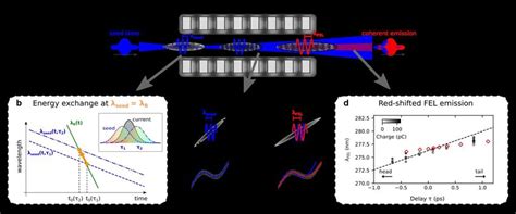 Principle Of Seeded Fel And Spectral Control A Seeded Fel Principle Download Scientific