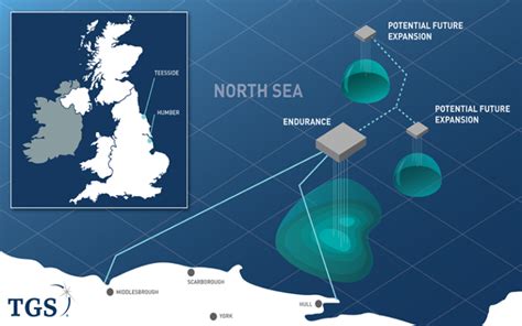 Oil Field Africa Review Tgs Licenses Recently Enhanced Carbon Storage