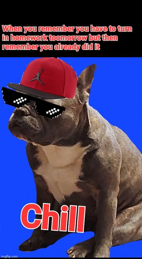 Nah Chill Memes