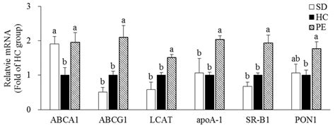 Effects Of PE On MRNA Levels Of Genes Related To Cholesterol Metabolism