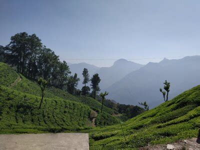 Akhi Playboy Cam Model Free Live Sex Show Chat Stripchat