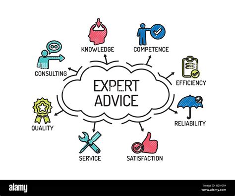 Expert Advice Chart With Keywords And Icons Sketch Stock Vector Image