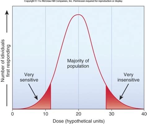 Exam Diagram Quizlet