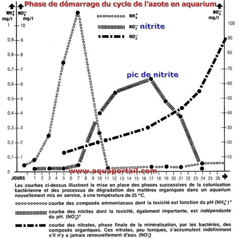 Cyclage Aquarium Définition Et Explications