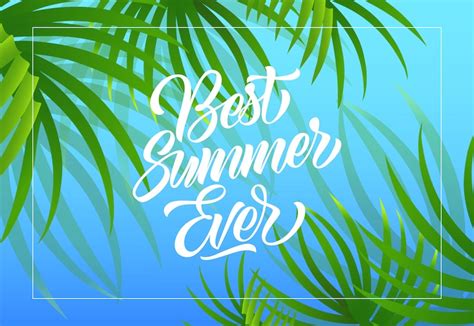 여름 야자 벡터 Freepik에서 무료 고품질 벡터를 다운로드하세요 Freepik