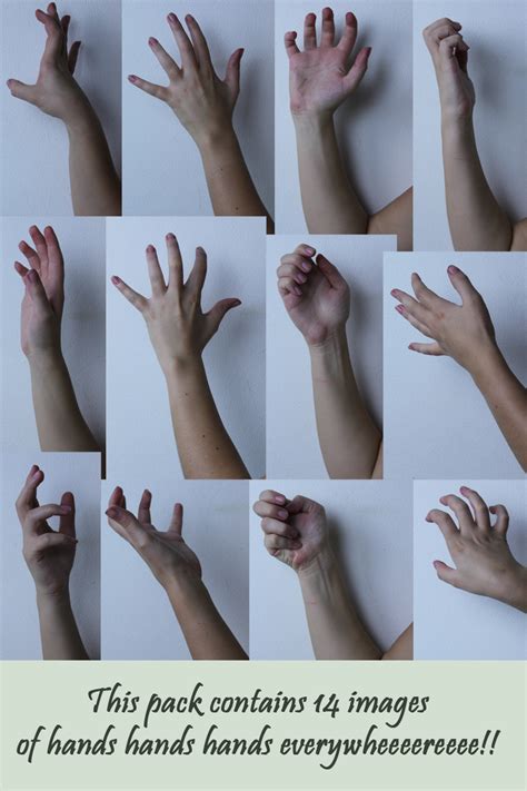 Right Hand Female Hand Reference Reaching Hand Drawing Reference Sketch