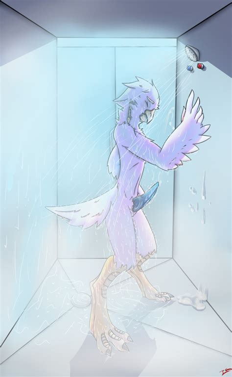 Rule 34 Anthro Avian Avian Starbound Beak Better Version At Source