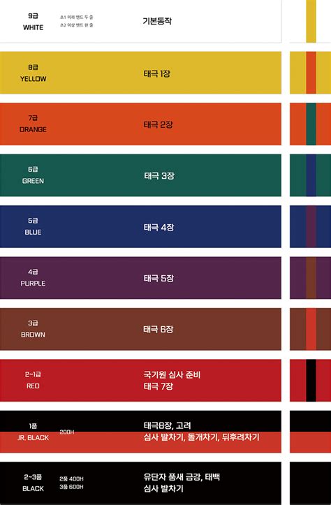 연지하이태권도 태권도 띠 순서와 급 태권도 띠의 위계 체계