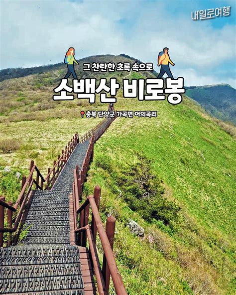 내일로여행 소백산 비로봉 그 찬란한 초록 속으로 5월의 소백산은 아직 봄의 끝자락에 머물고 있었어요 숲은 초록으로 짙어