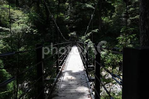 屋久島自然遺産 No 27034981写真素材なら写真AC無料フリーダウンロードOK