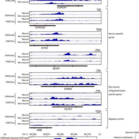 The Distribution Of Mapped Reads A The Distribution Of Mapped Reads Download Scientific