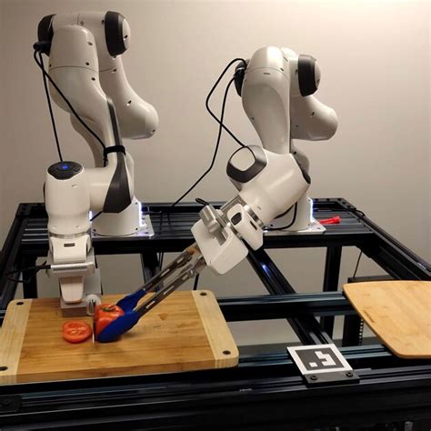 Experimental Setup With Two 7 Dof Franka Emika Panda Research Arms We Download Scientific