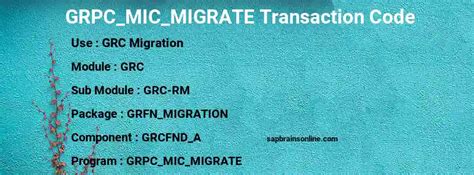 Grpc Mic Migrate Sap Tcode For Grc Migration