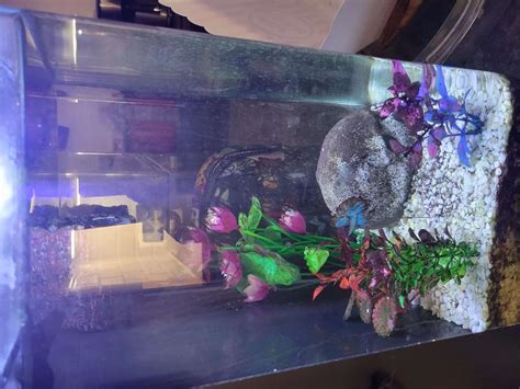 MARINELAND Portrait Blade Light Aquarium Kit 5 Gal Chewy