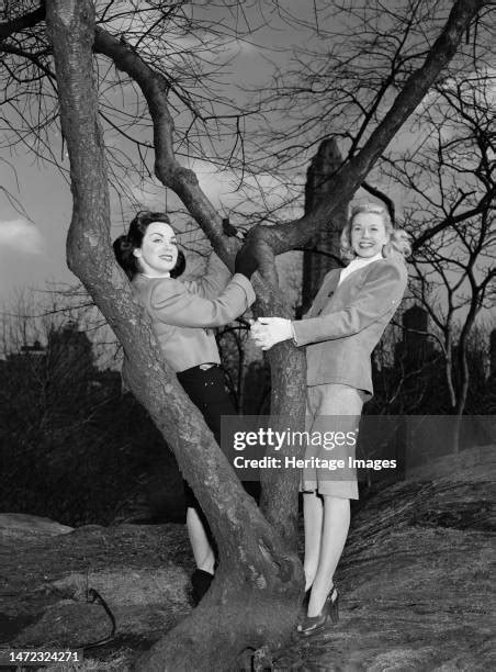 120 Doris Hair Photos And High Res Pictures Getty Images