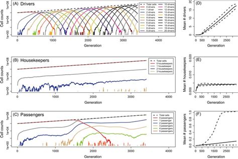 The Pattern Of Mutation Accumulation A The Sequential Acquisition Of