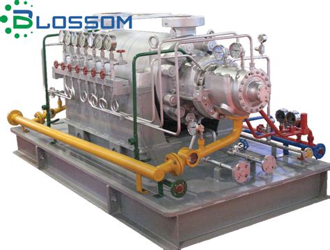 Api 610 Bb2 Pump Shandong Blossom Pump Industry Co Ltd