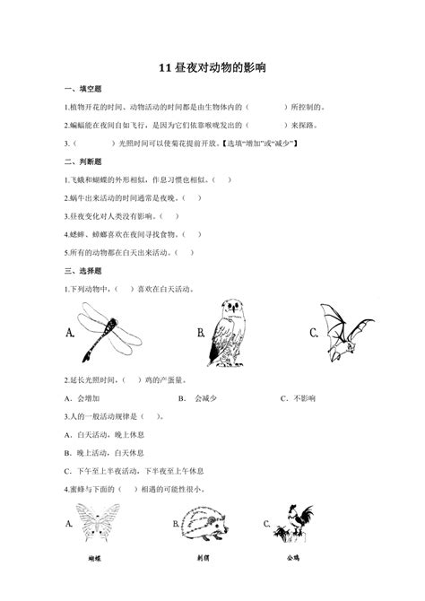 科学 苏教版2017秋五年级下册311 昼夜对动物的影响 同步试题含答案 试卷下载预览 二一课件通